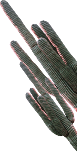 Tulsa Area RV Park - West Bend RV Outpost